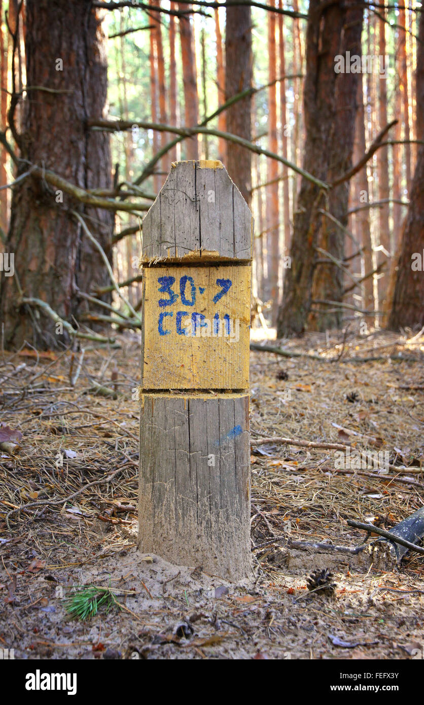 Wooden marker signpost in a forest Stock Photo - Alamy
