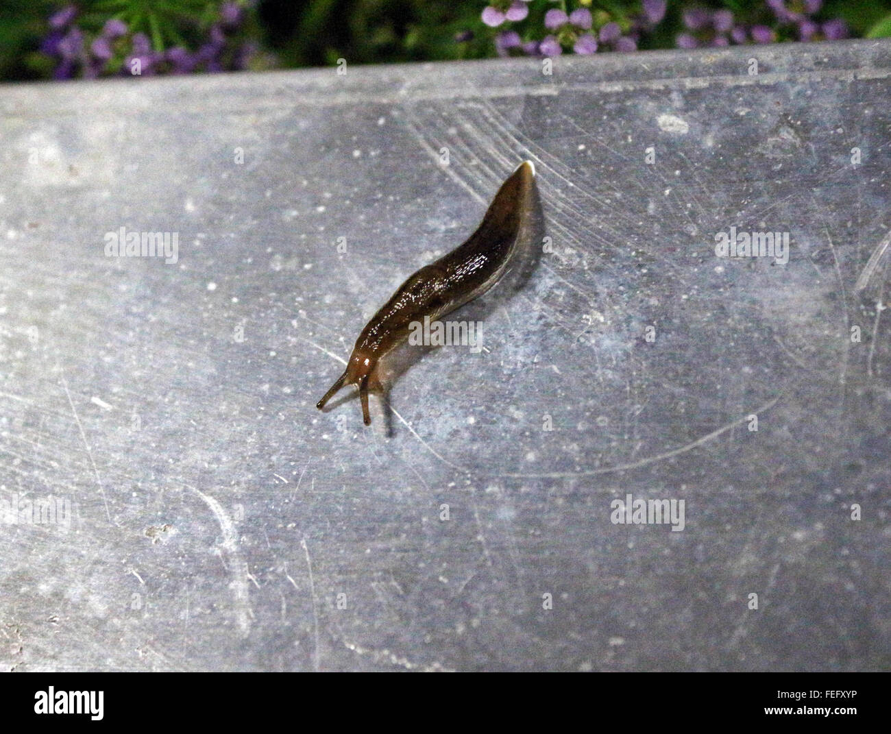 Metal slug hi-res stock photography and images - Alamy