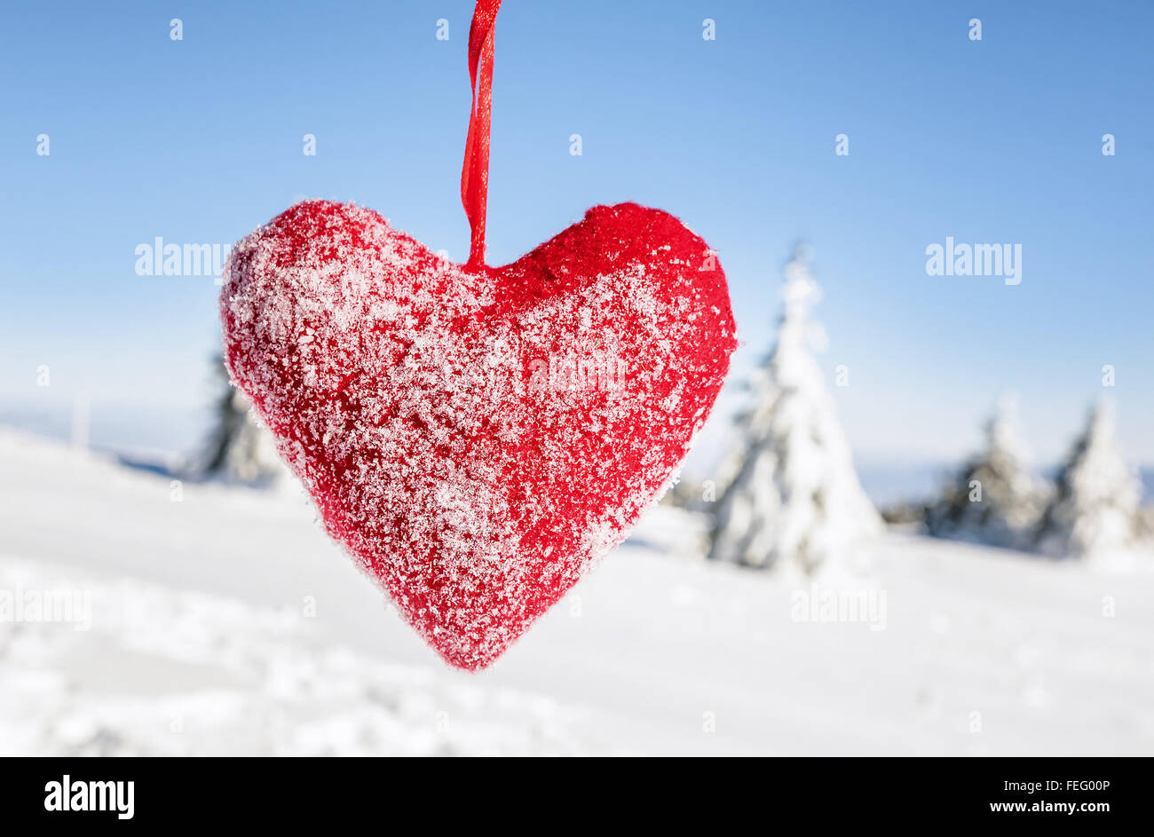 Heart hanging on tree branch hi-res stock photography and images - Alamy