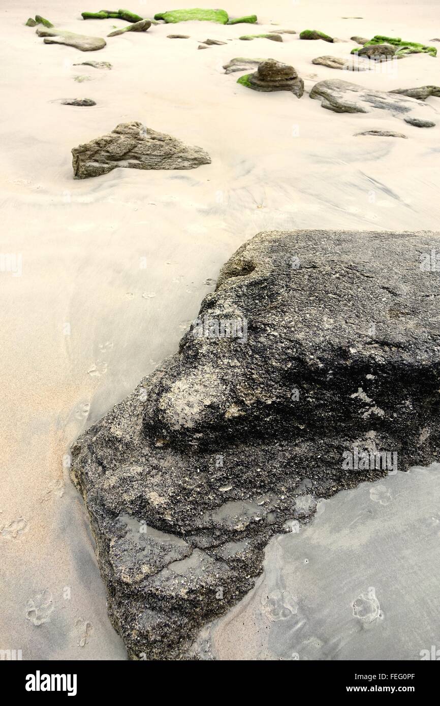 Coquina rocks on the beach, Flagler country, Florida Stock Photo - Alamy