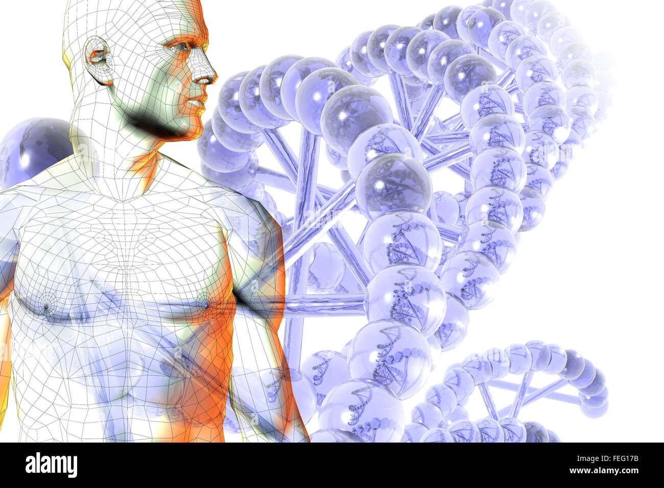 Concept figure dna hi-res stock photography and images - Alamy