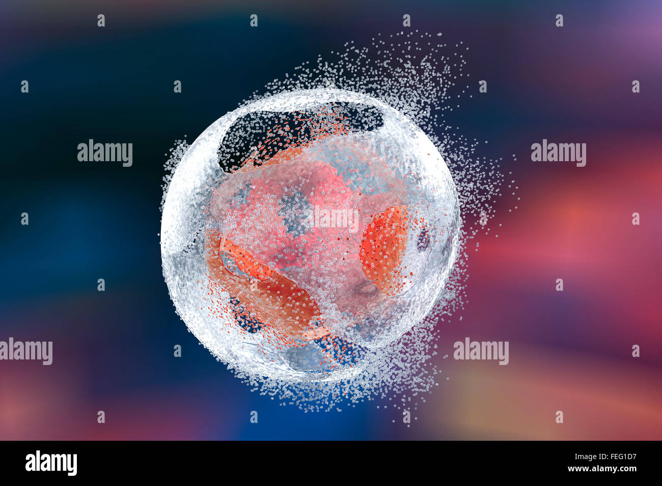 Destruction of a human cell hi-res stock photography and images - Alamy