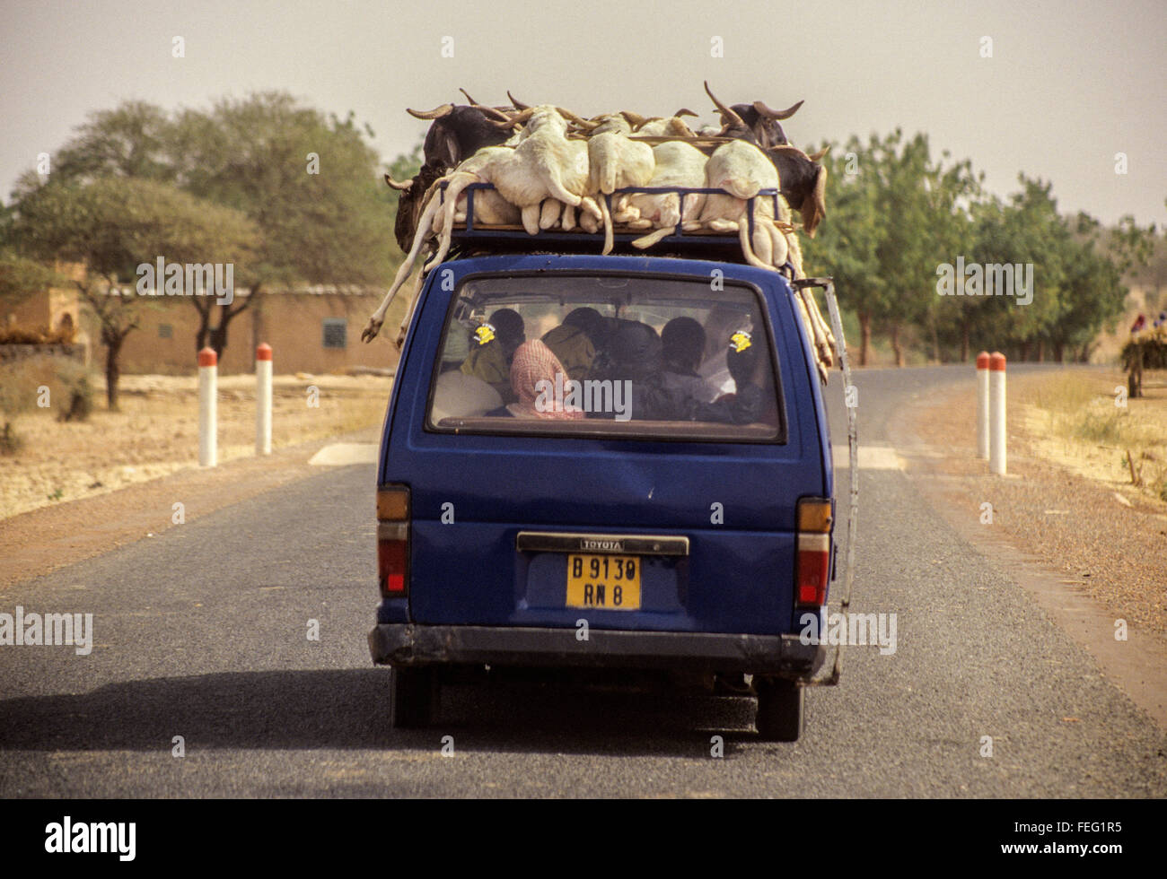 Niamey, Niger. A Taxi-van Carrying Goats to Market Stock Photo - Alamy