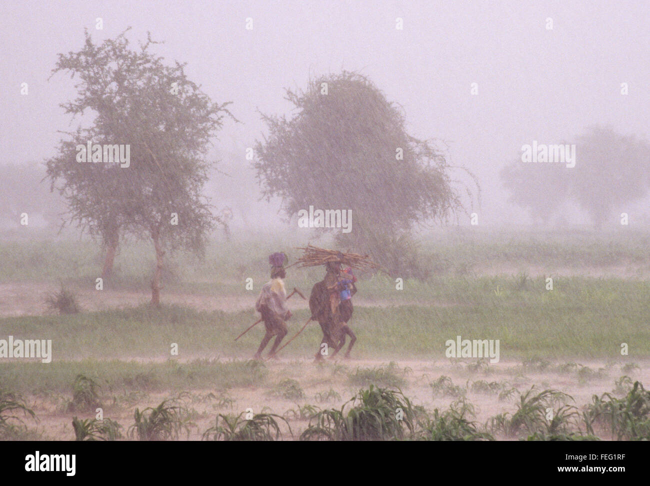 Wet season sahel hi-res stock photography and images - Alamy