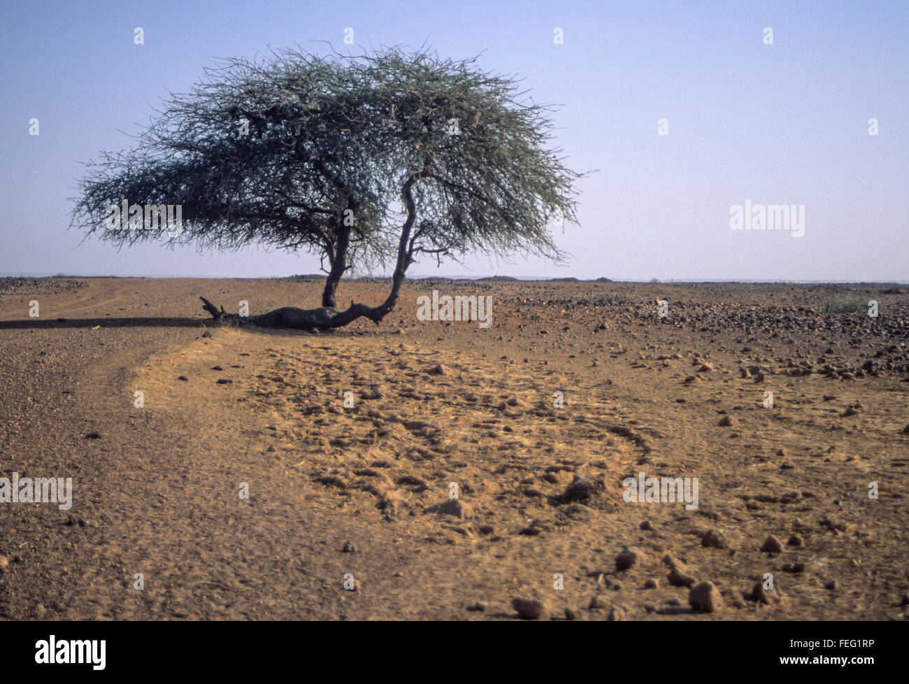 Niger, West Africa. Dry Season in the Sahel. Compare to Rainy Season in ...