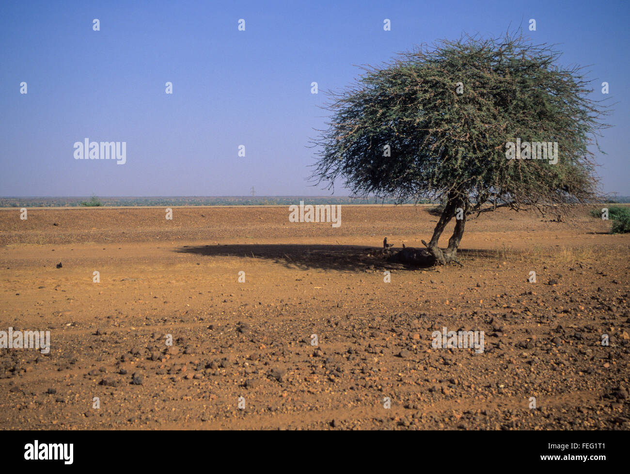 Niger, West Africa. Dry Season in the Sahel. Compare to Rainy Season in ...