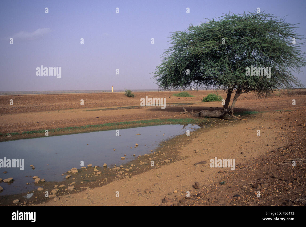 Niger, West Africa. Rainy Season in the Sahel. Compare to Dry Season in ...