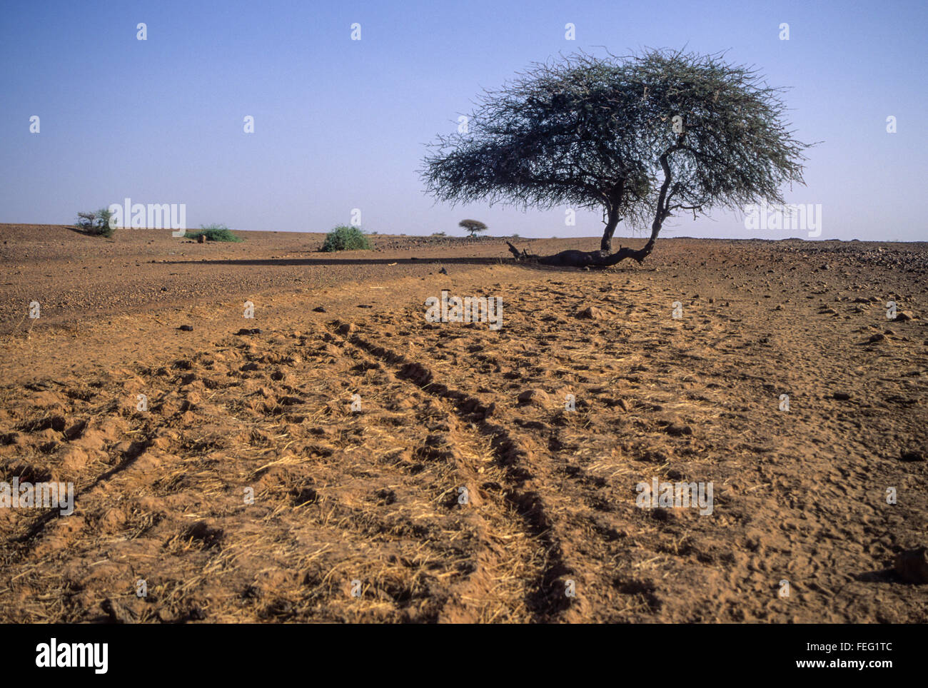 Niger, West Africa. Cloudless Sky in the Dry Season in the Sahel ...
