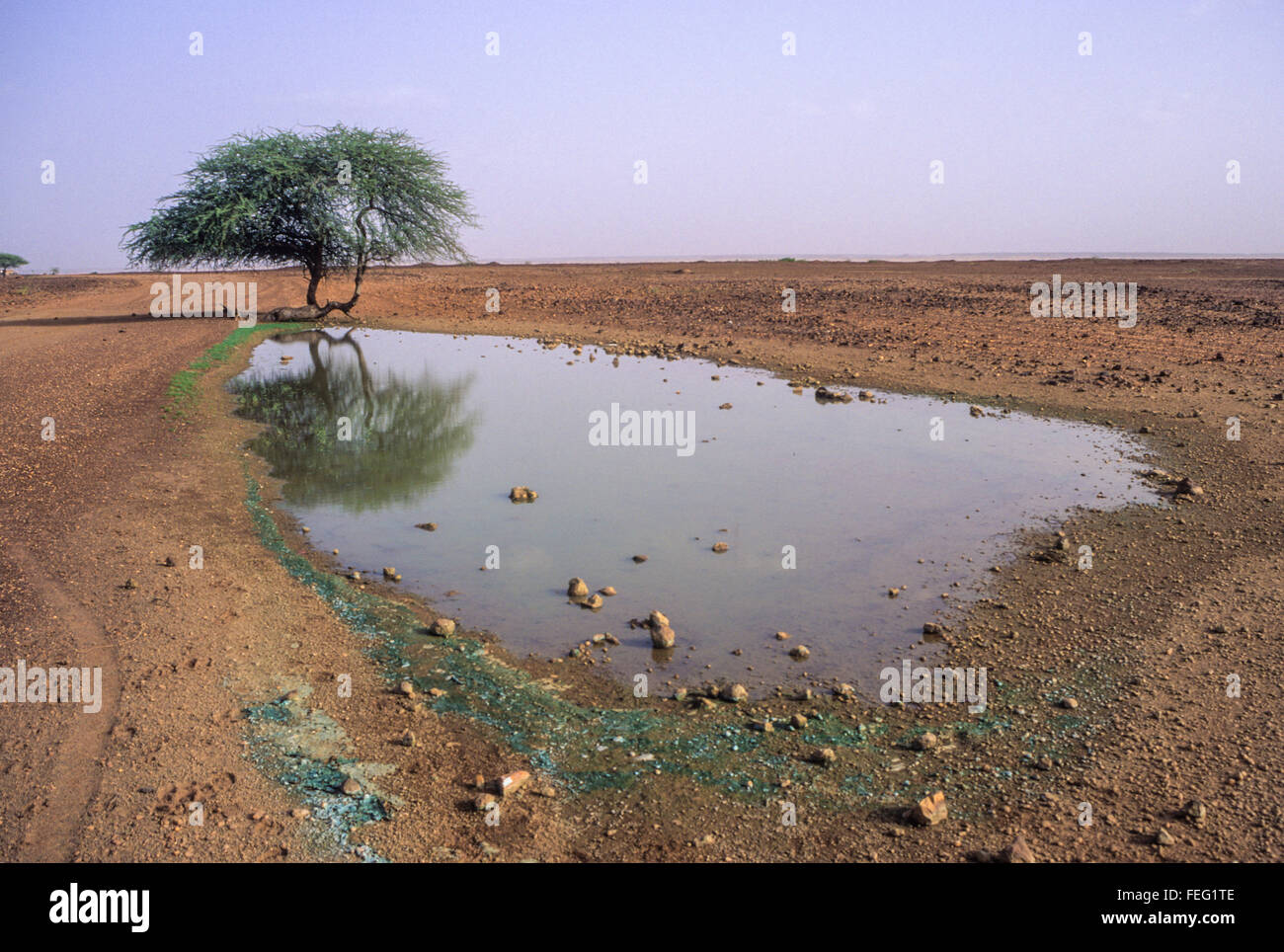 Niger west africa puddle water hi-res stock photography and images - Alamy