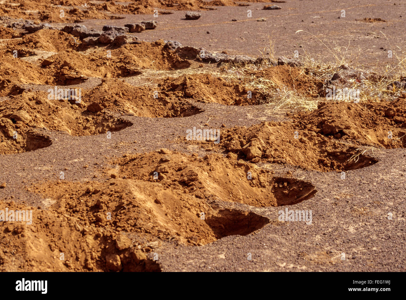 Zai planting hi-res stock photography and images - Alamy