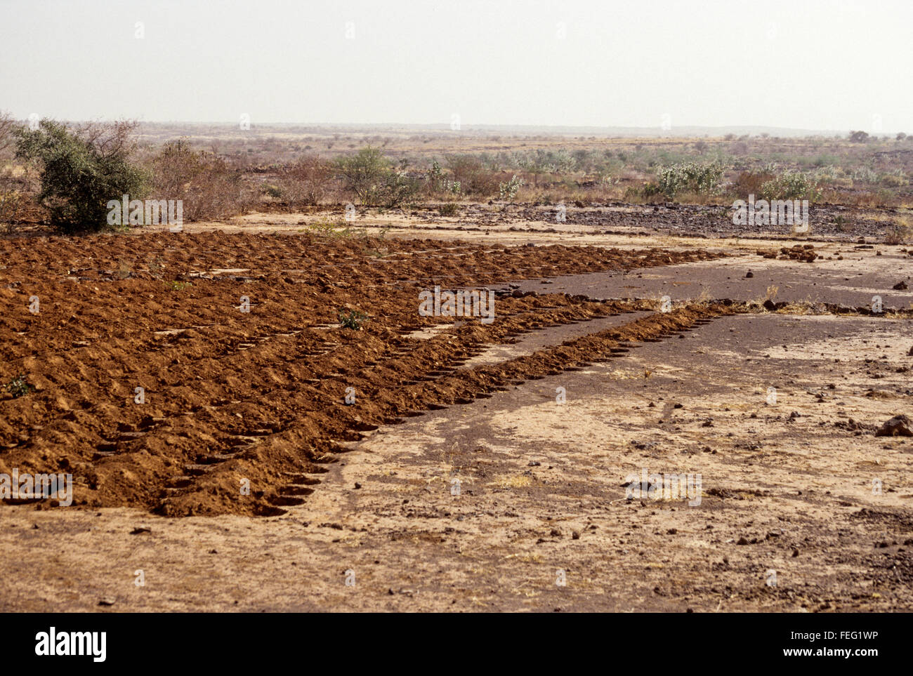 Zai planting hi-res stock photography and images - Alamy