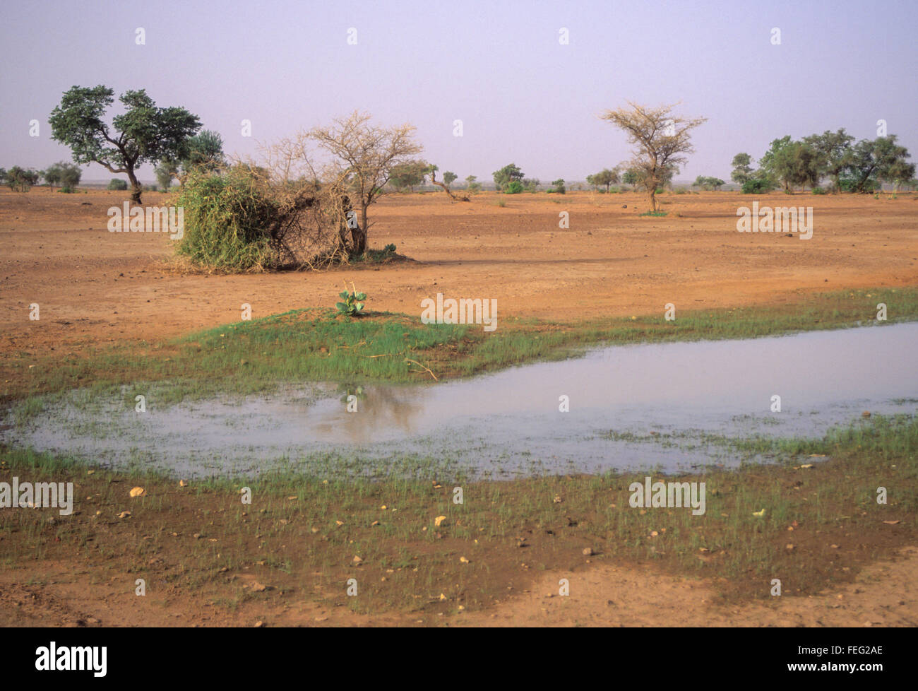 Niger, West Africa. Puddle of Water, Rainy Season in the Sahel Stock ...