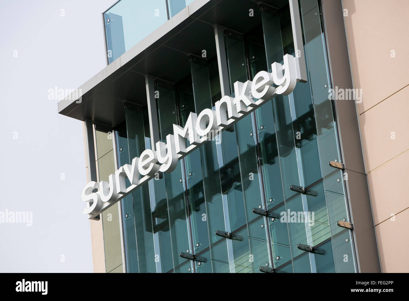 Surveymonkey Logo SurveyMonkey Logo PNG Vector (EPS) Free Download