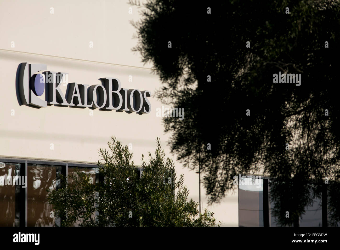 Kalobios Logo Specimen Of Stock Certificate Evidencing Shares Of