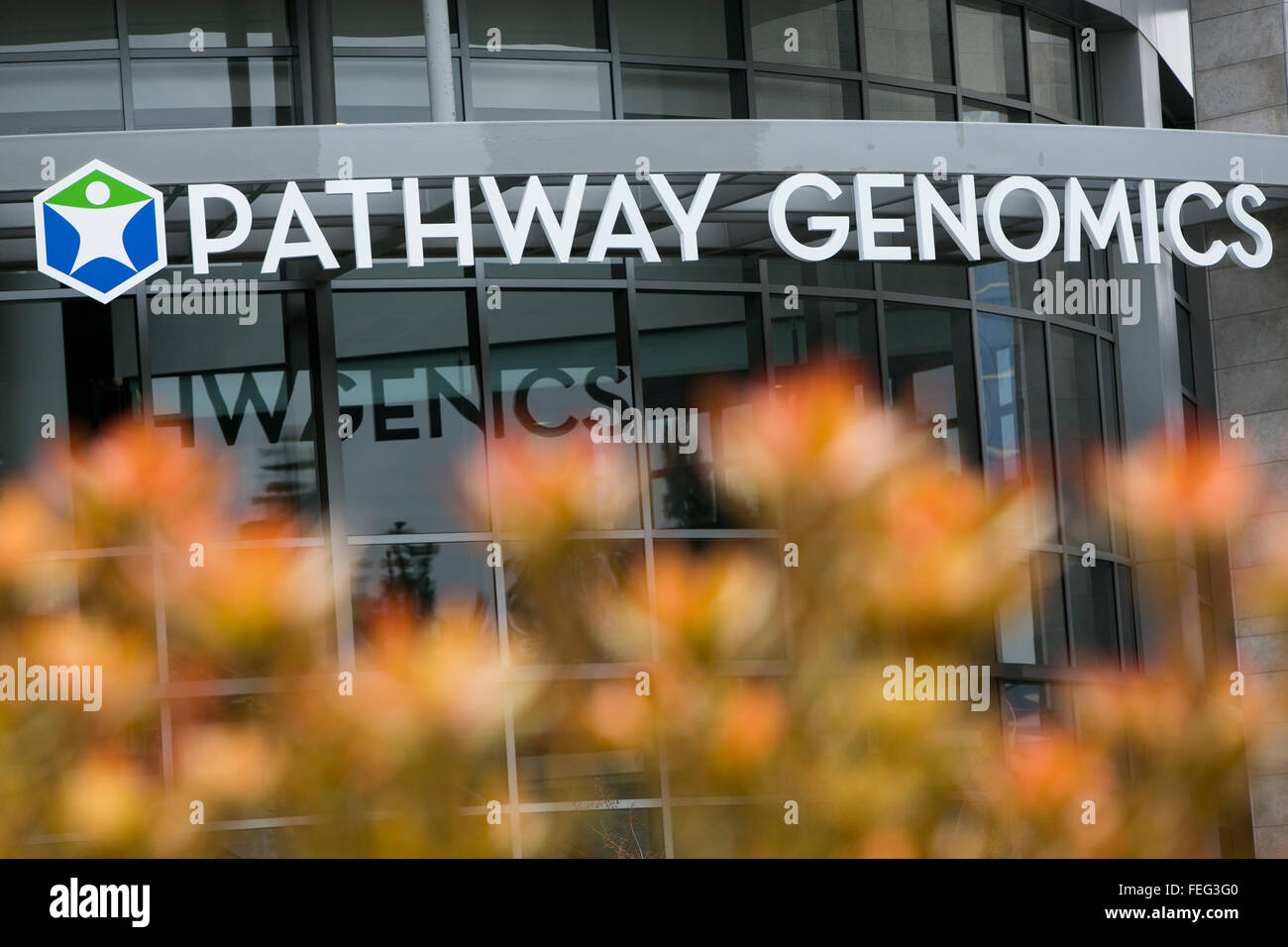 Pathway genomics hi-res stock photography and images - Alamy