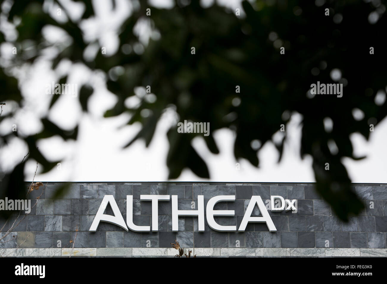 A logo sign outside of the headquarters of AltheaDx in San Diego ...