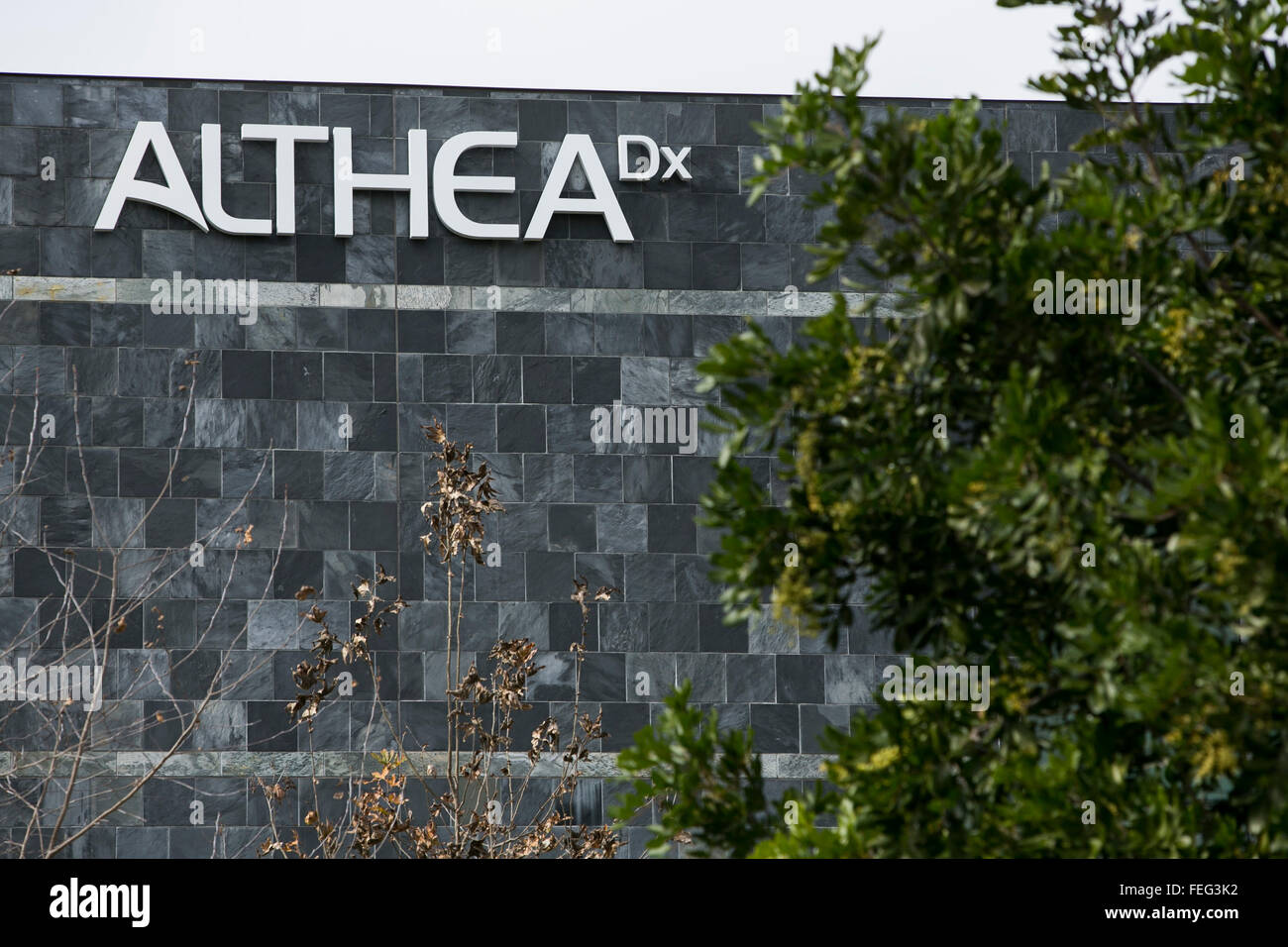 A logo sign outside of the headquarters of AltheaDx in San Diego ...
