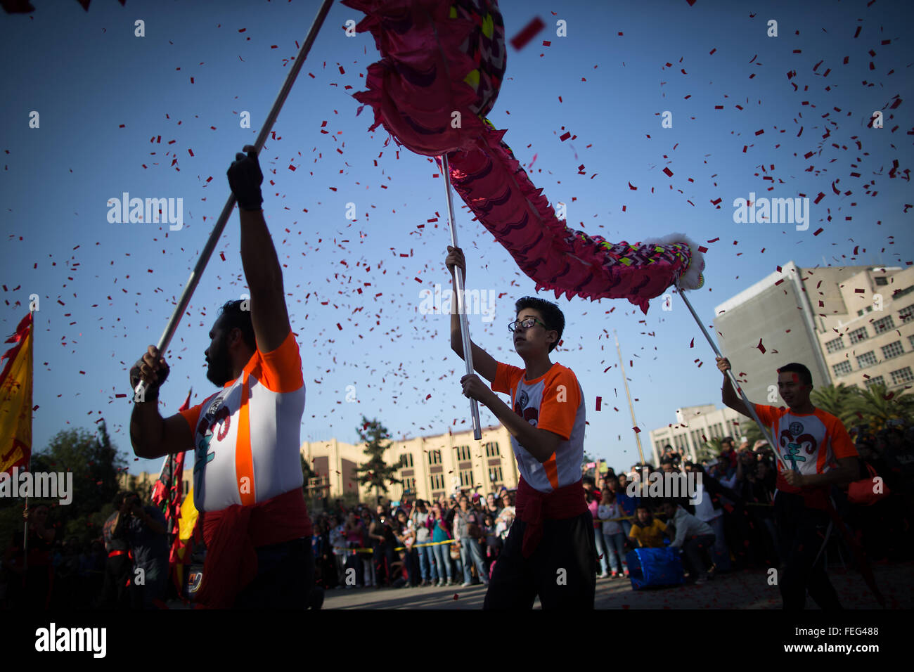 Mexico City, Mexico. 6th Feb, 2016. People take part in a parade to ...