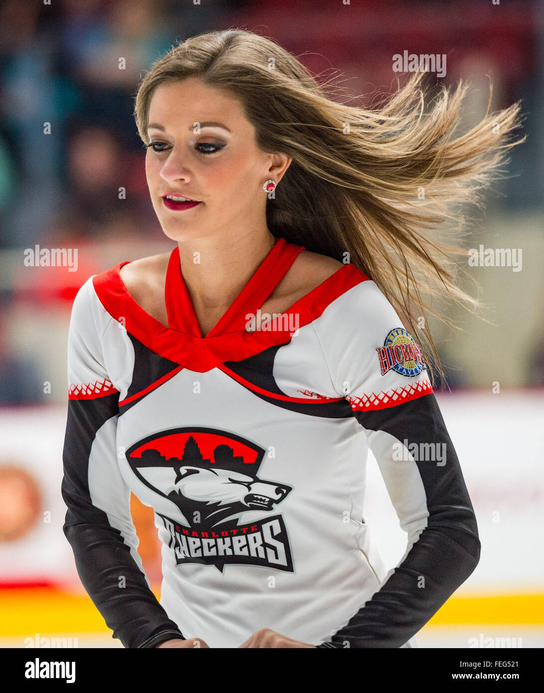 Charlotte Checkers cheerleader/ice girl during the AHL game between the ...