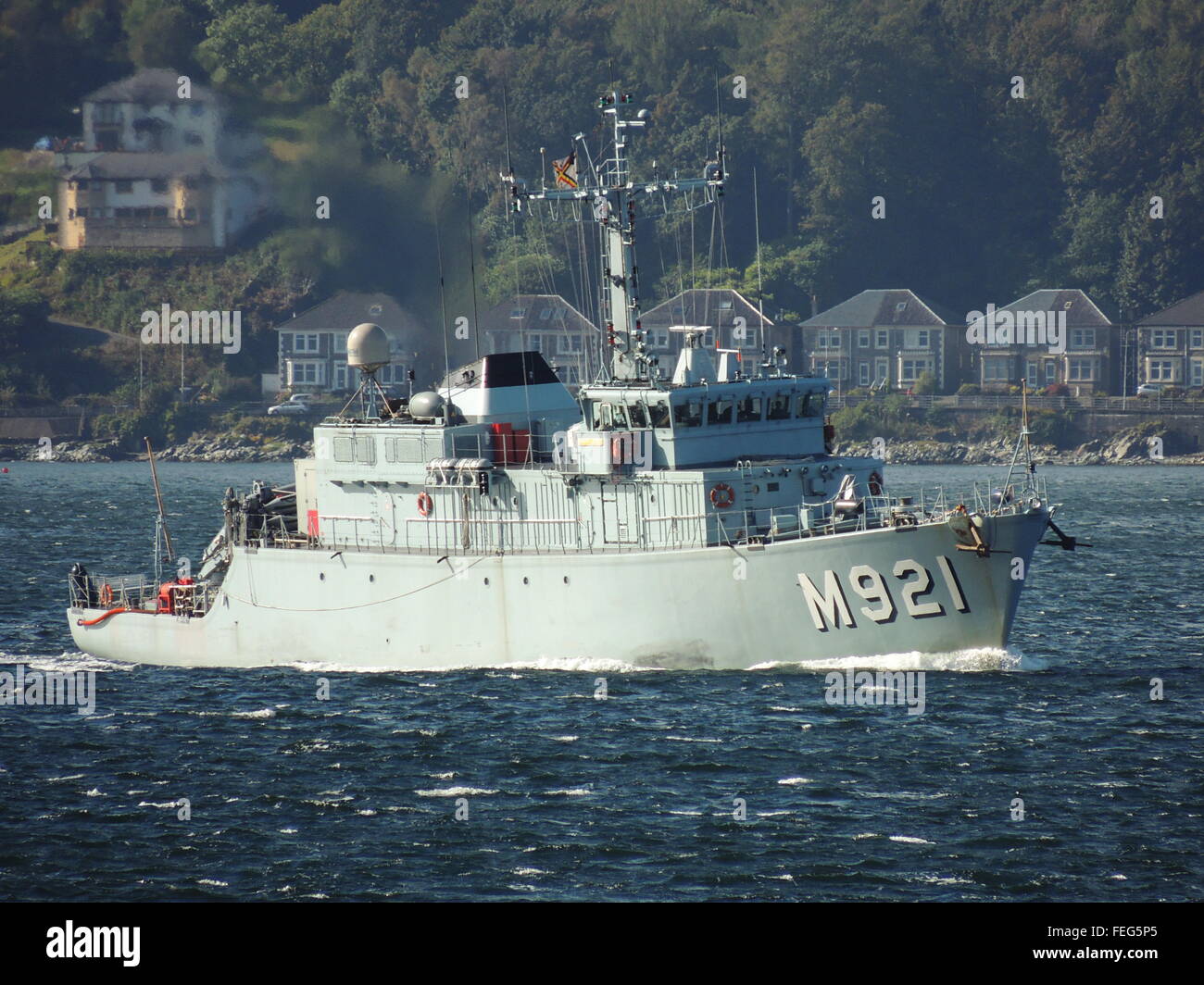 Bns lobelia hi-res stock photography and images - Alamy