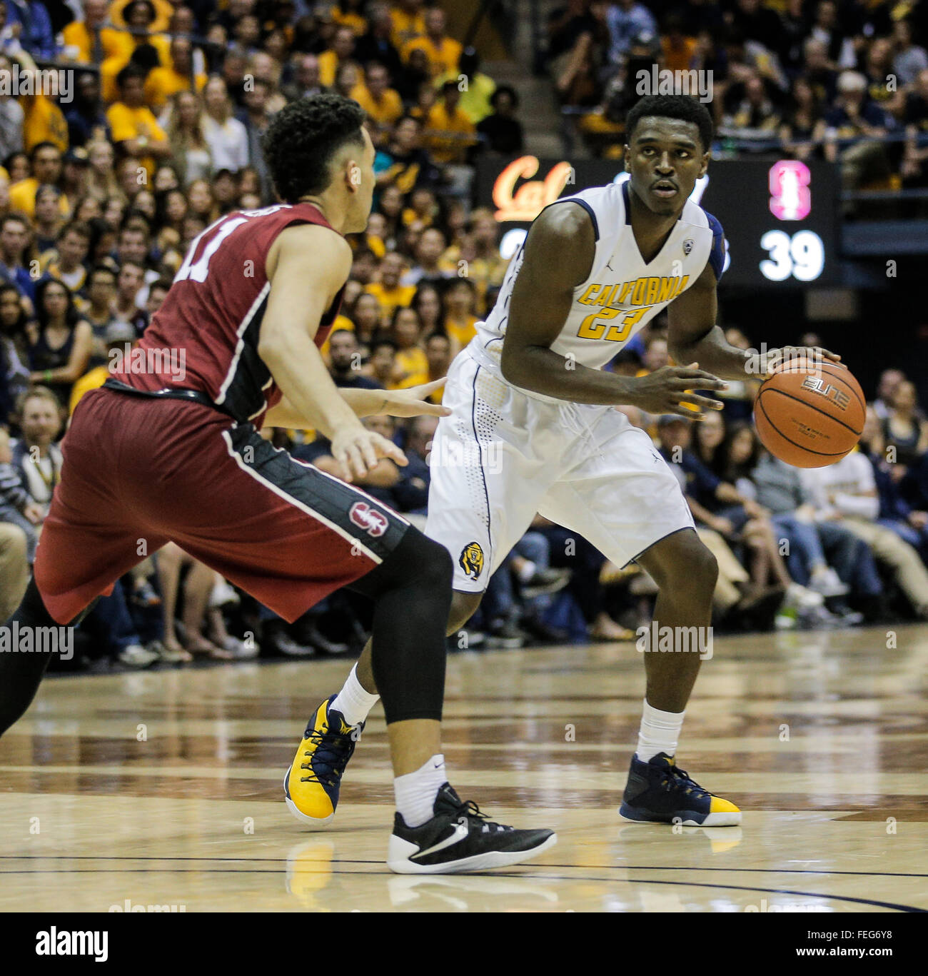Jabari bird hi-res stock photography and images - Alamy