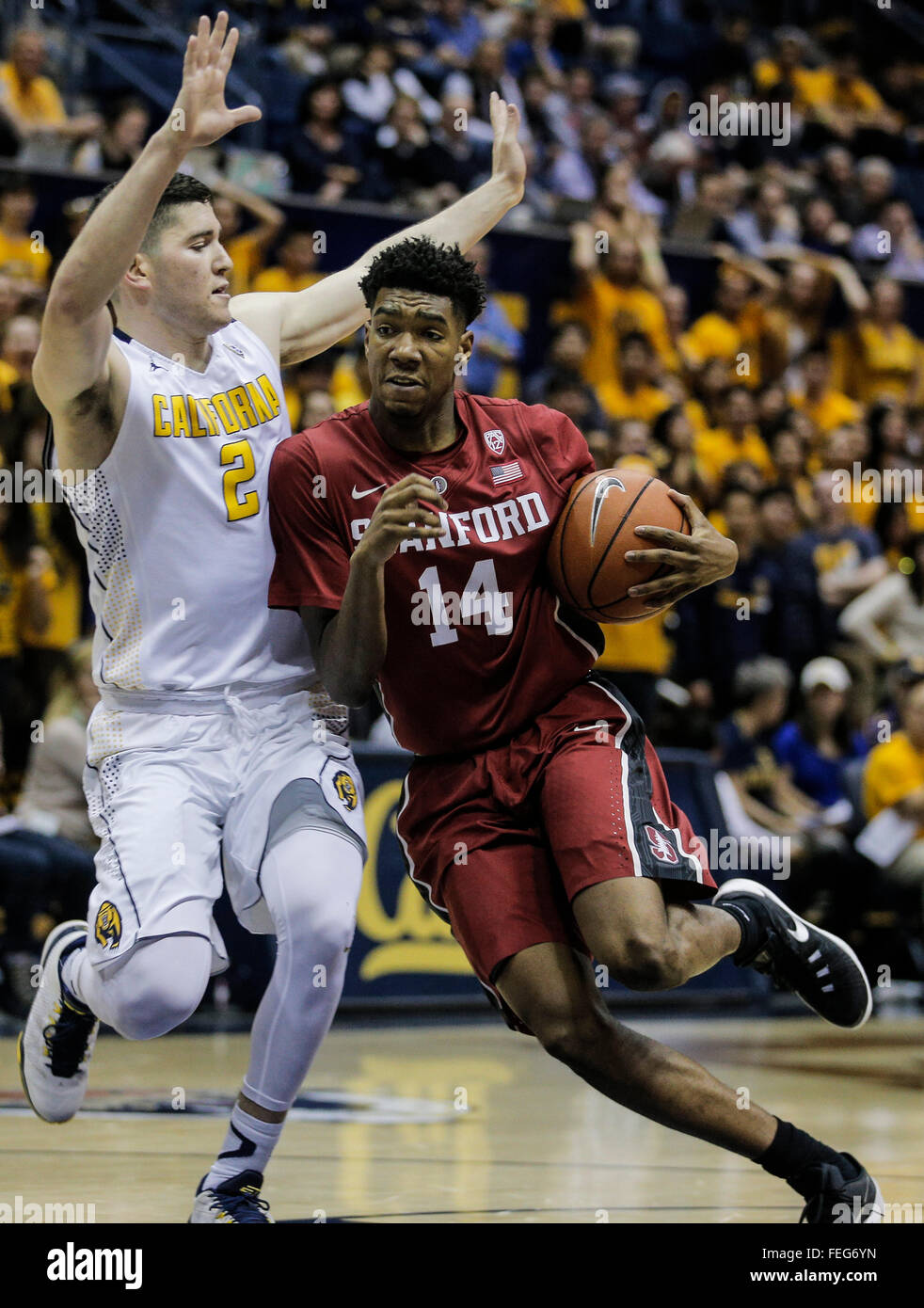 Berkeley USA CA. 06th Feb, 2016. Stanford G # 14 Marcus Sheffield ...