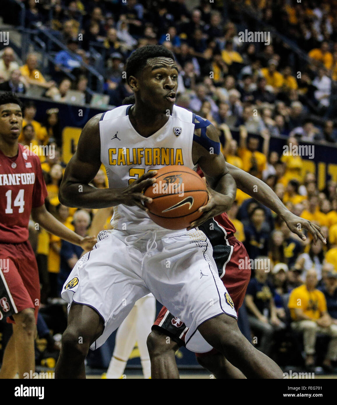 Jabari bird hi-res stock photography and images - Alamy
