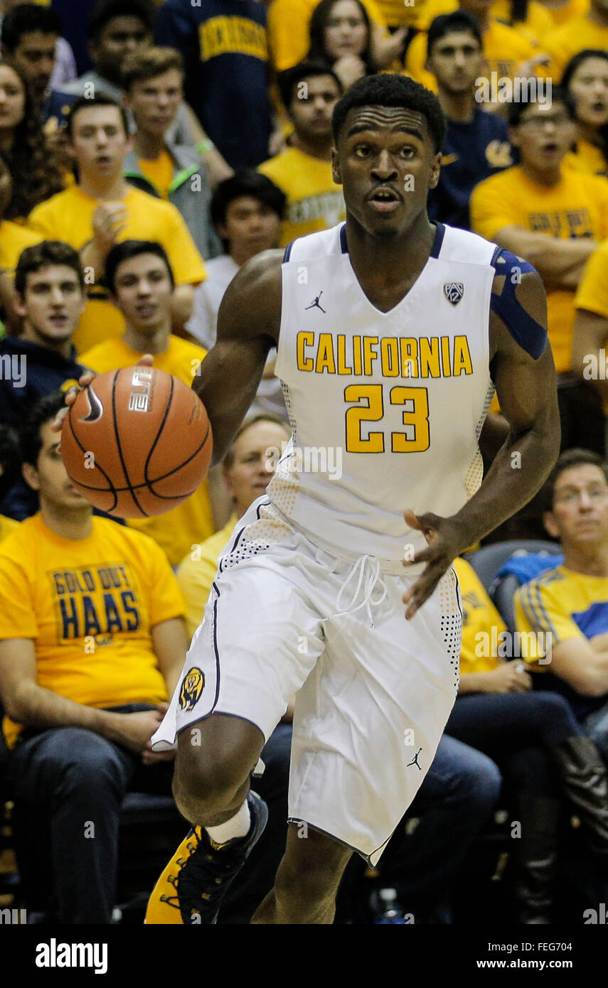 Jabari bird hi-res stock photography and images - Alamy