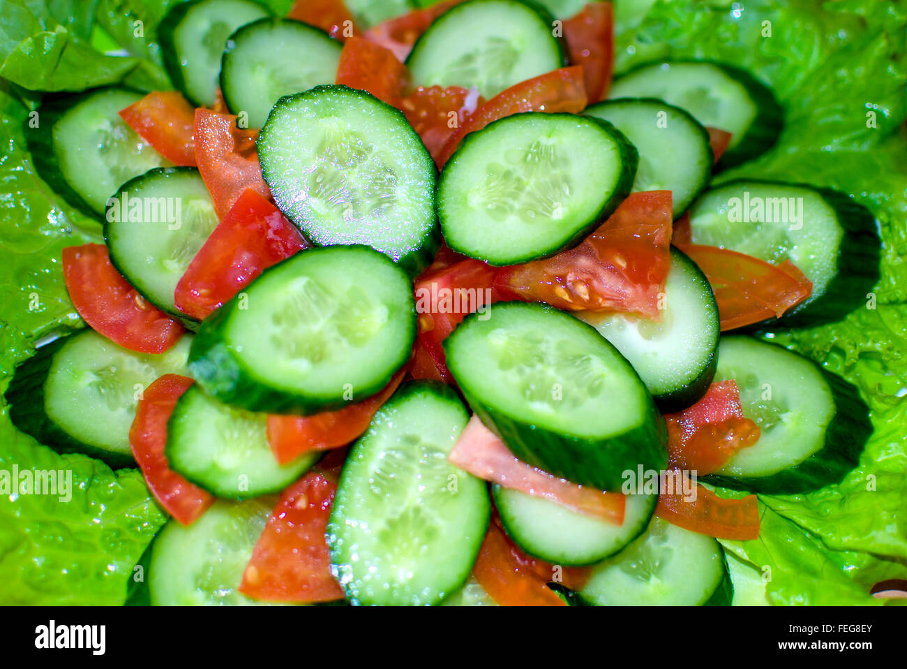 Slices Of Lettuce Leaves
