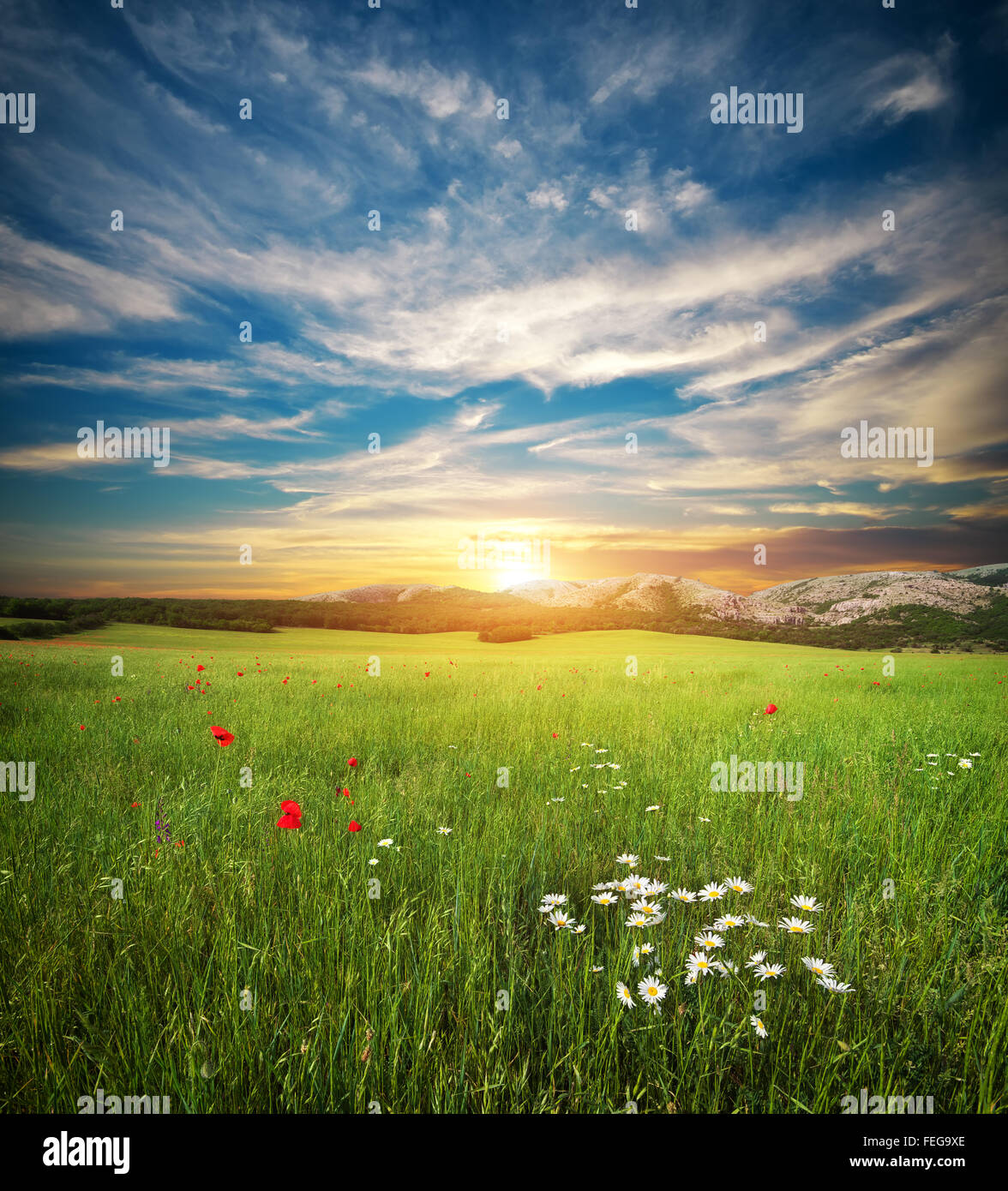 Lanscape vista hi-res stock photography and images - Alamy