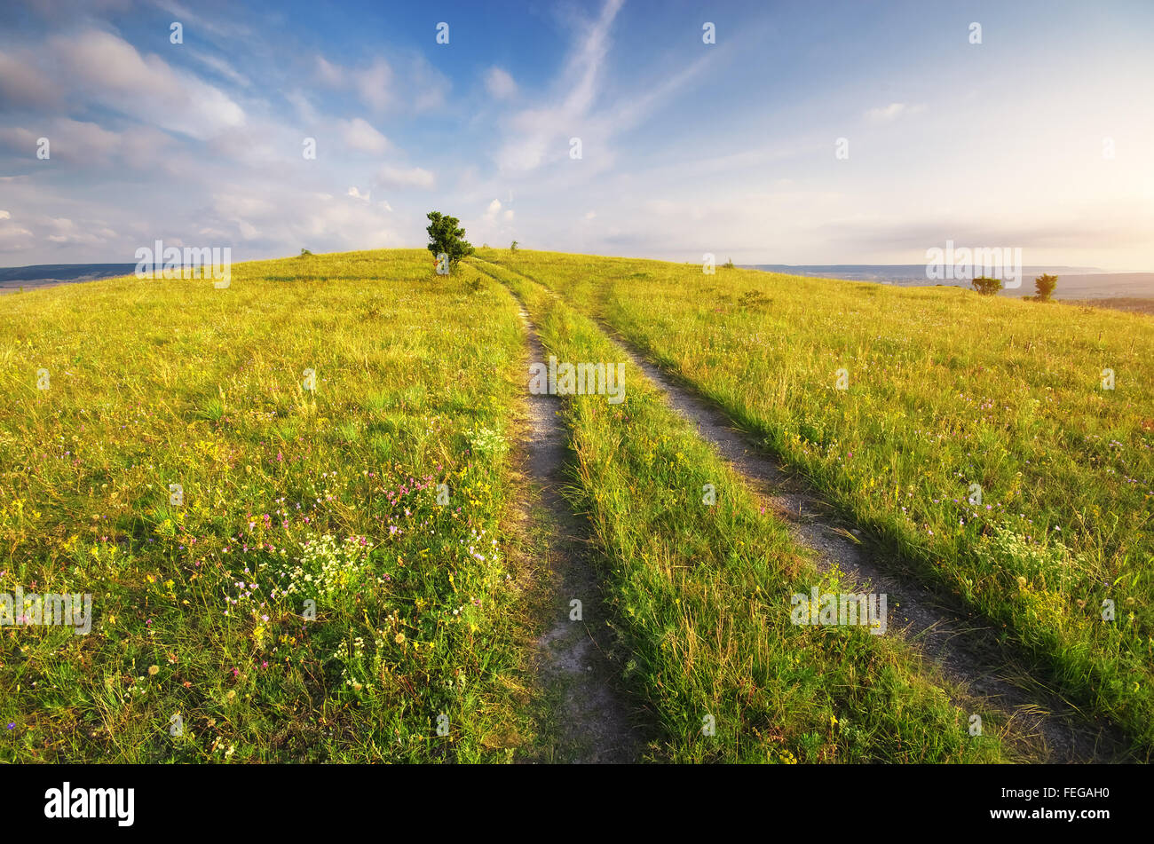 Road lane and deep blue sky. Nature design Stock Photo - Alamy
