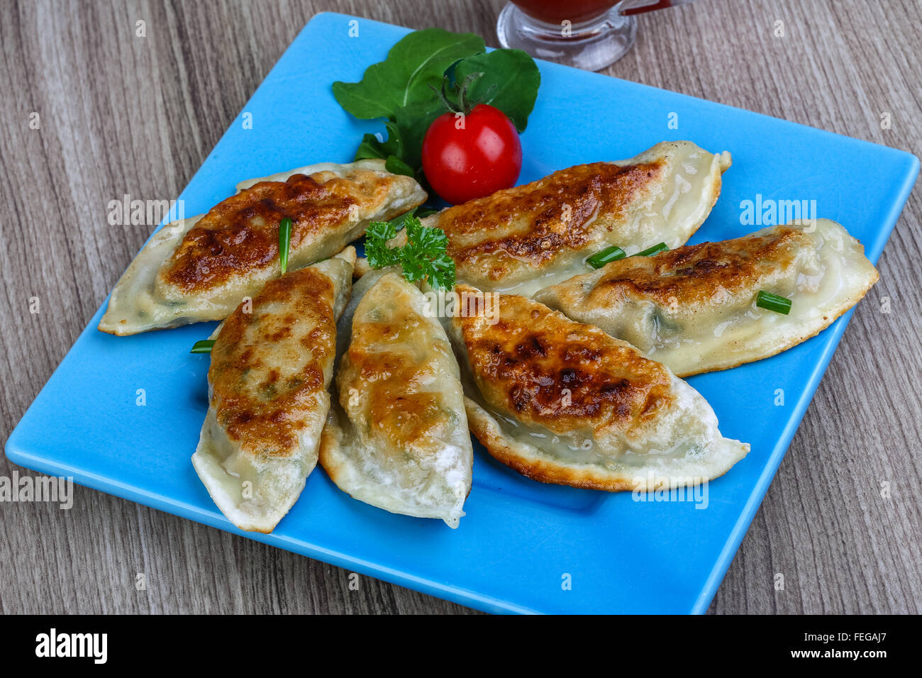 Japanese cousine - Gyoza dumplings served green onion and cherry tomato ...