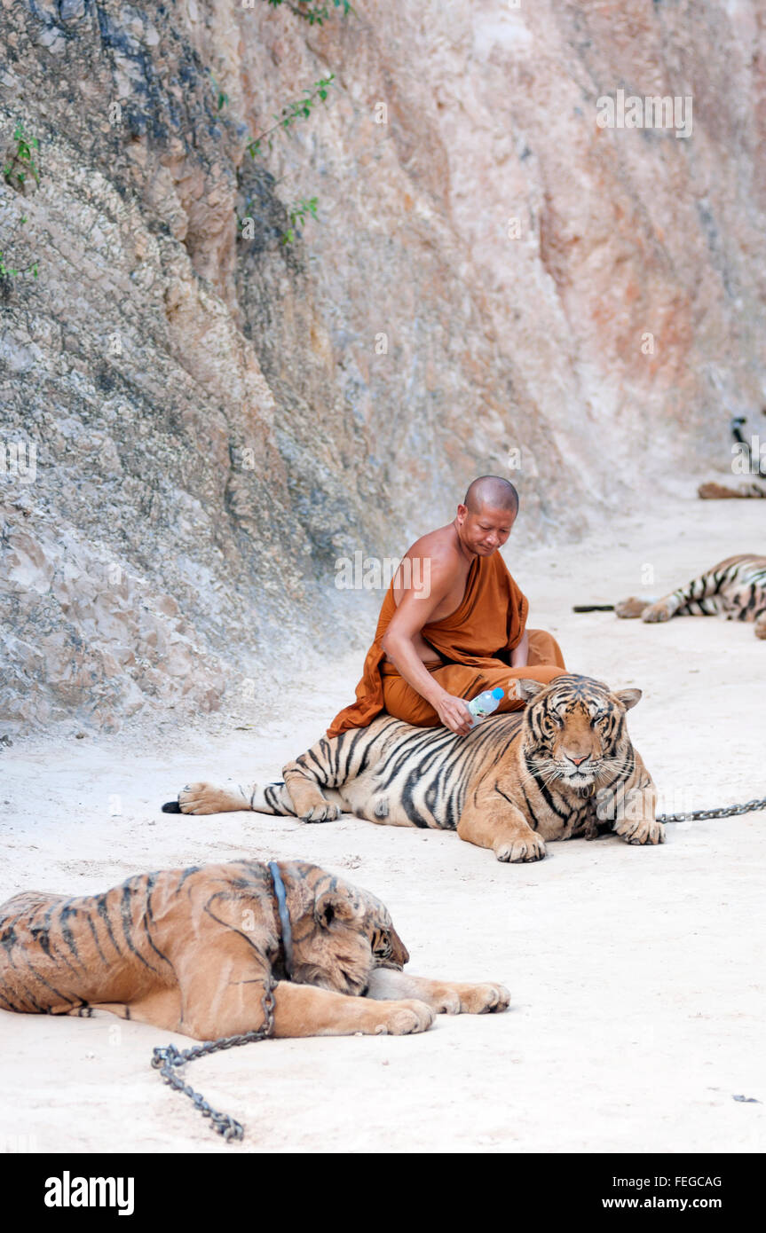 Monk tiger tiger temple kanchanaburi hi-res stock photography and ...