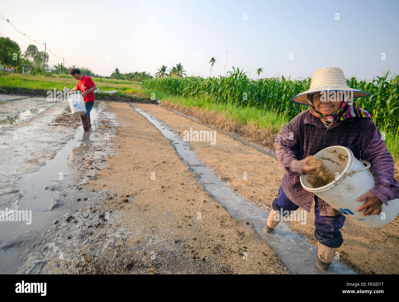 Sowing the seeds of love hi-res stock photography and images - Alamy