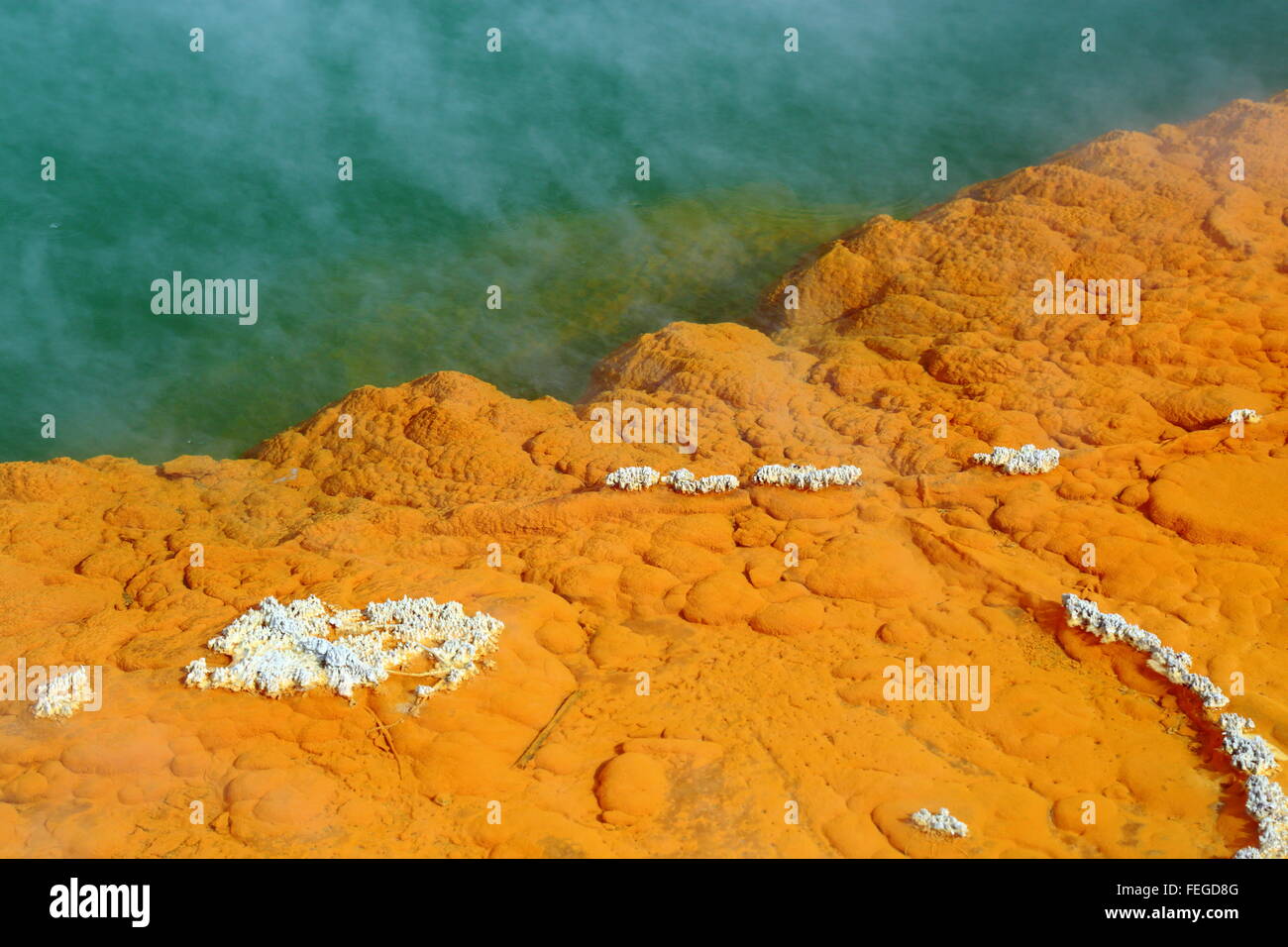 Champagne Pool in the stunning and amazing geothermal landscape of Wai ...