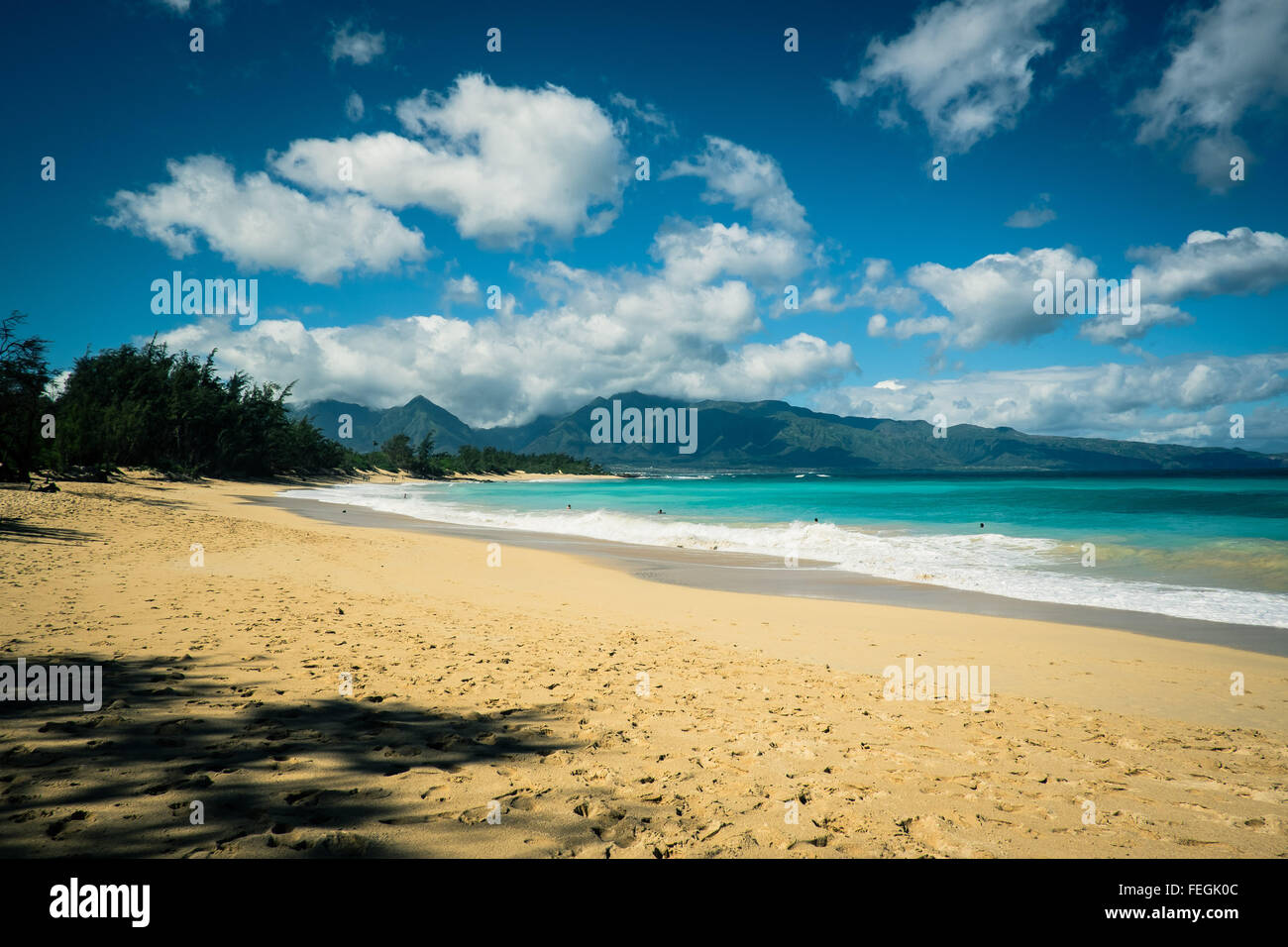 Lifesaver station at a beach on the island of Maui, Hawaii (USA Stock ...