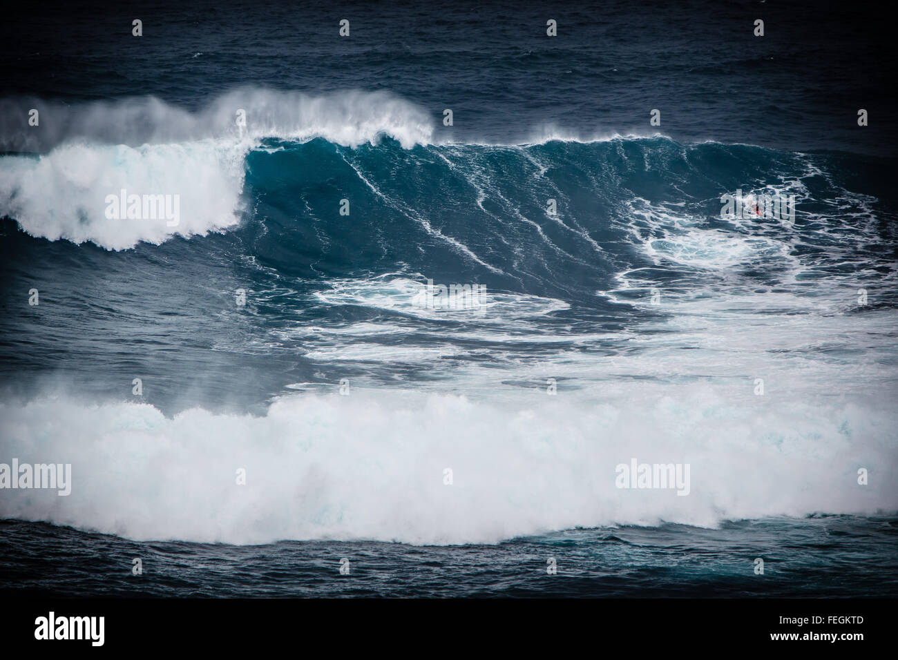 A surfer is riding a huge wave at Peahi (Jaws) on the island of Maui ...
