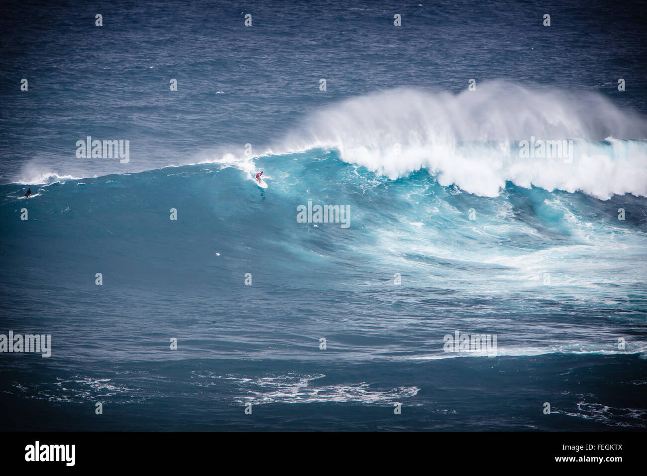 A surfer is riding a huge wave at Peahi (Jaws) on the island of Maui ...