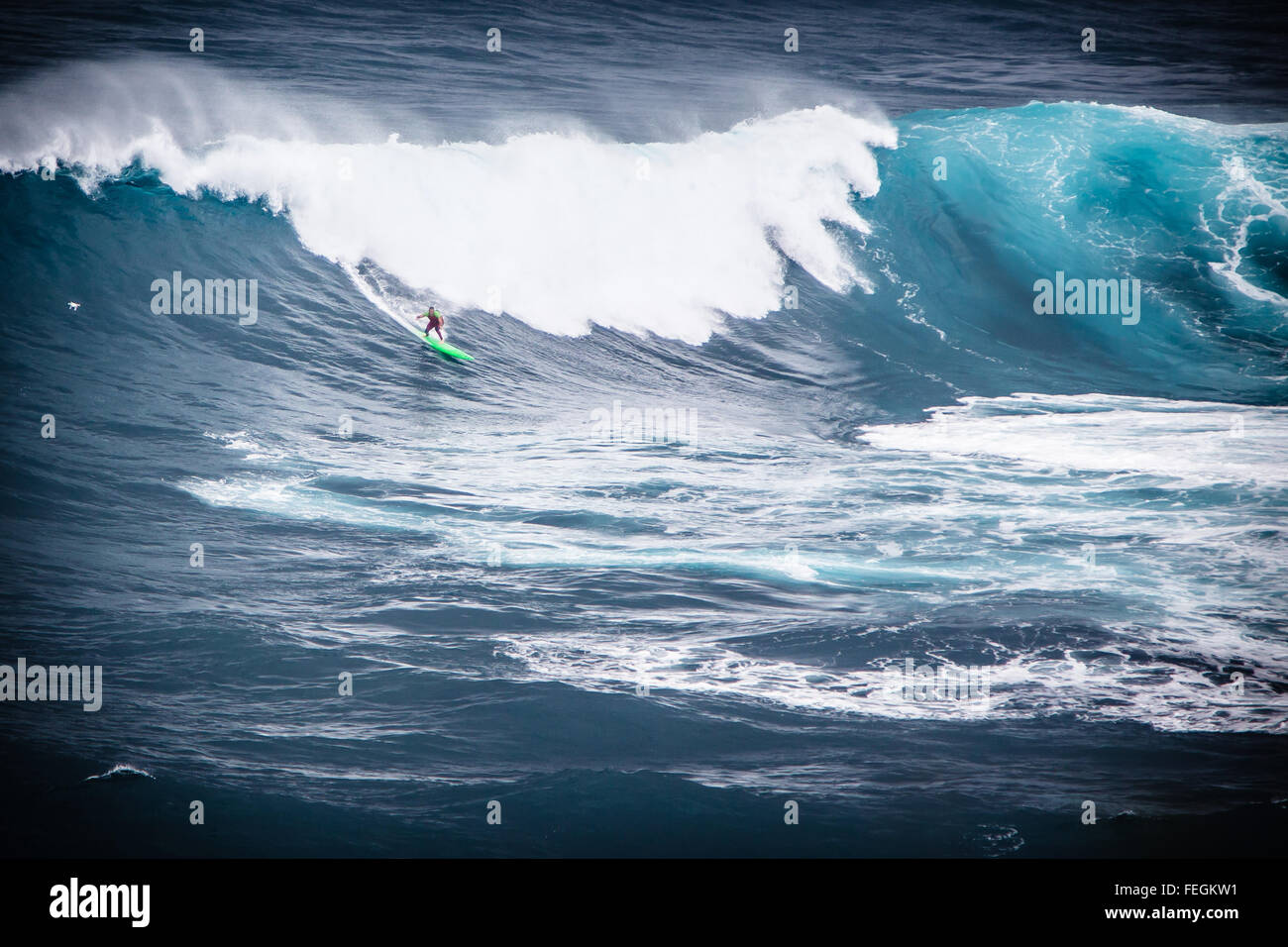 A surfer is riding a huge wave at Peahi (Jaws) on the island of Maui ...