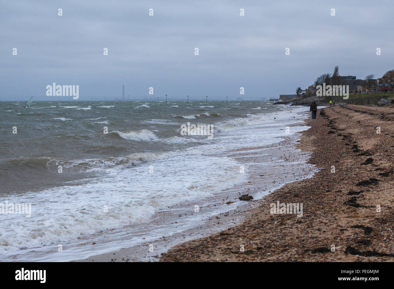People Walking Dog on East Beach During Gale Force Winds Stock Photo ...