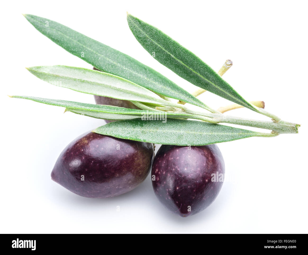 Fresh olives with leaves on the white background Stock Photo - Alamy