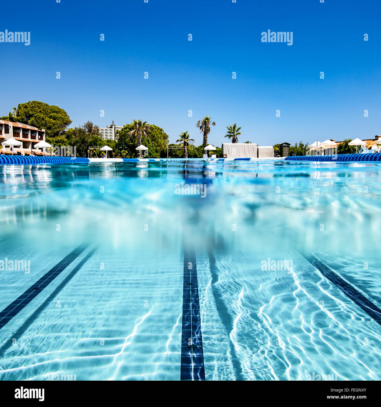 Tropical swimming pool views over the water and under water Stock Photo ...