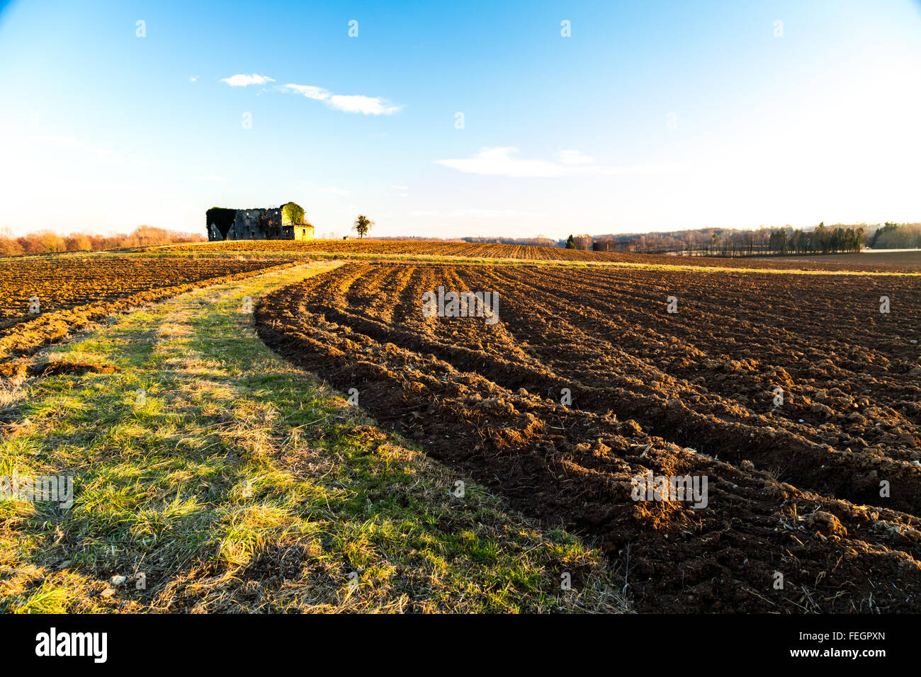 an abandoned and ruined farm in the fields of Italy Stock Photo - Alamy
