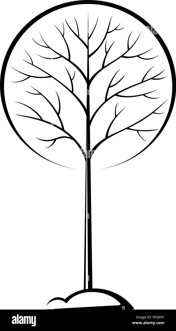 Form tree crown Black and White Stock Photos & Images - Alamy