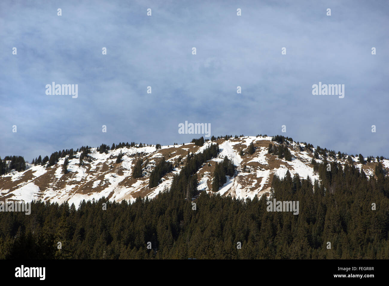Melting snow hillside hi-res stock photography and images - Alamy
