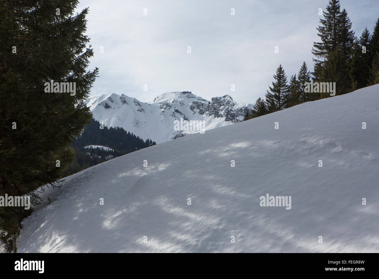 Melting snow hillside hi-res stock photography and images - Alamy