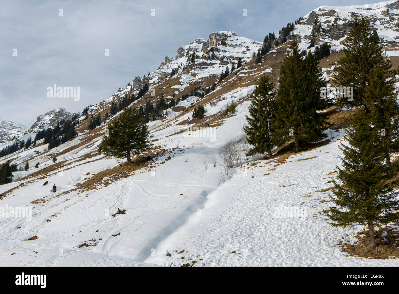 Melting snow hillside hi-res stock photography and images - Alamy