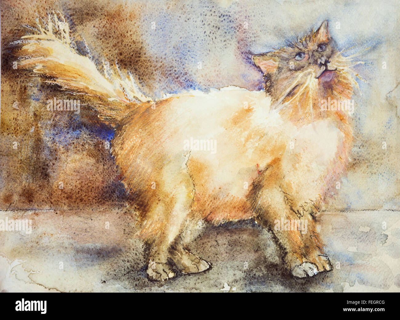 Fascinated hi-res stock photography and images - Alamy