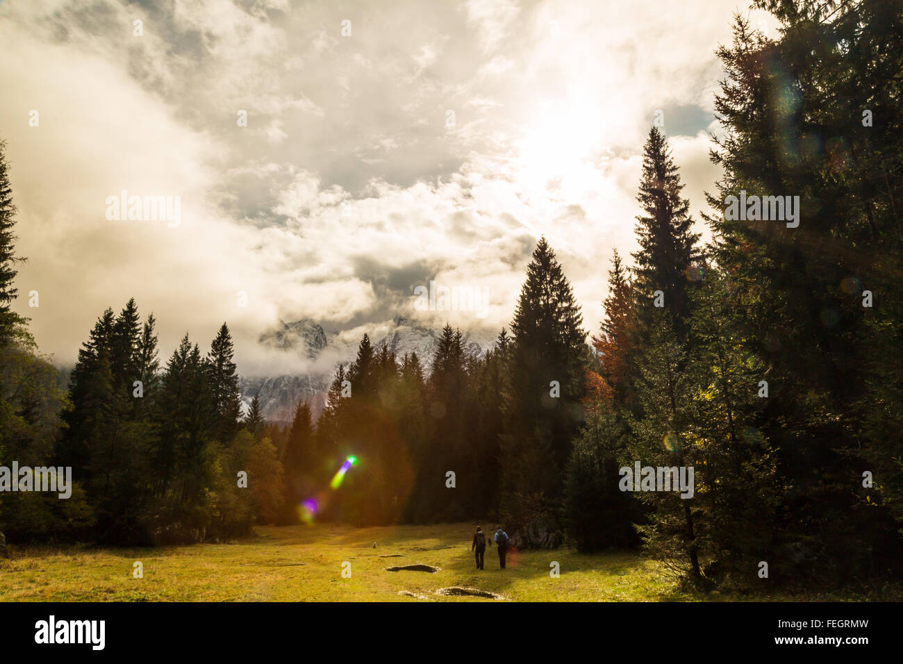 two girls walking in the forest in the italian alps Stock Photo - Alamy