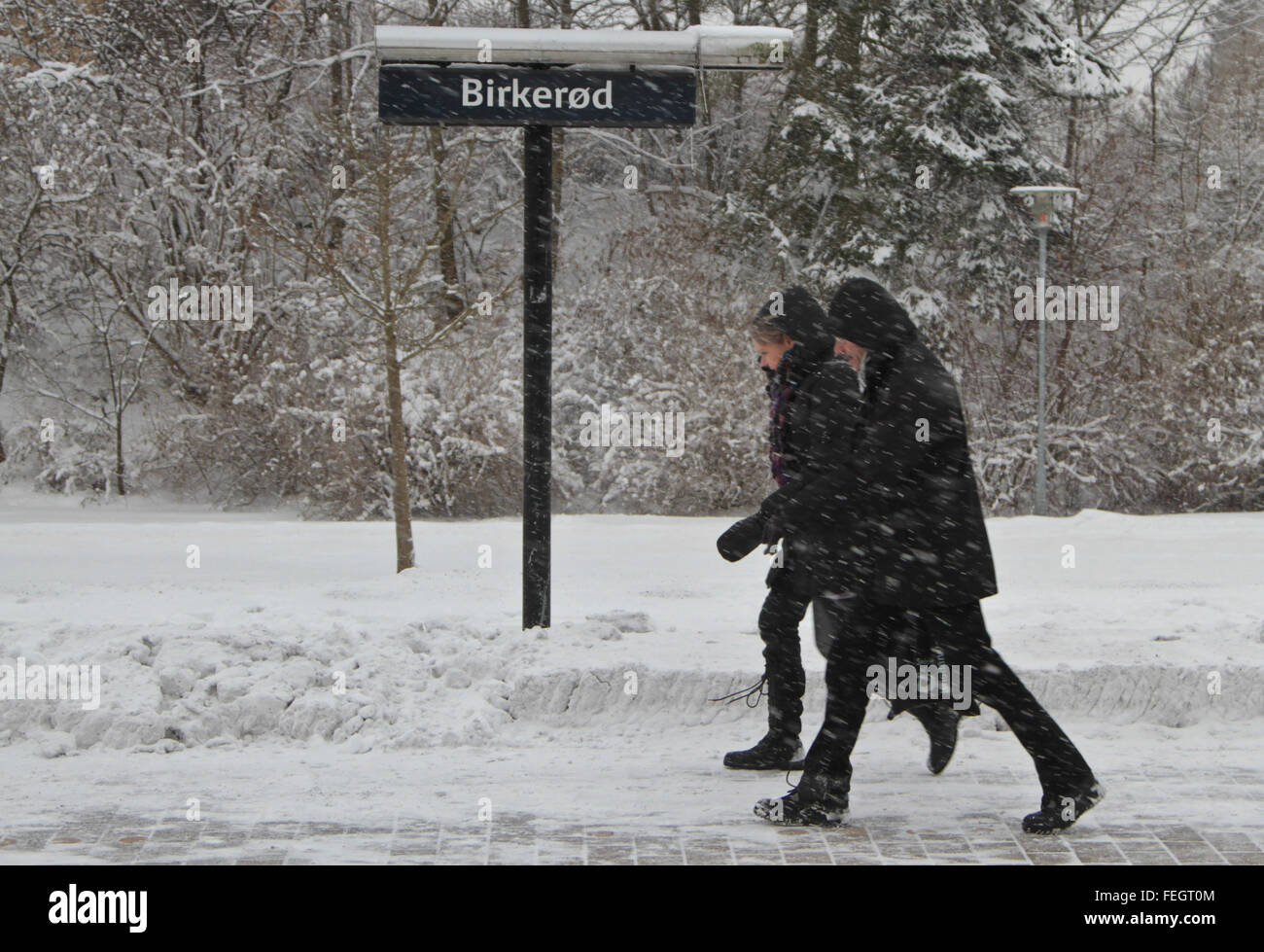 Cold danish denmark winter snow hi-res stock photography and images - Alamy